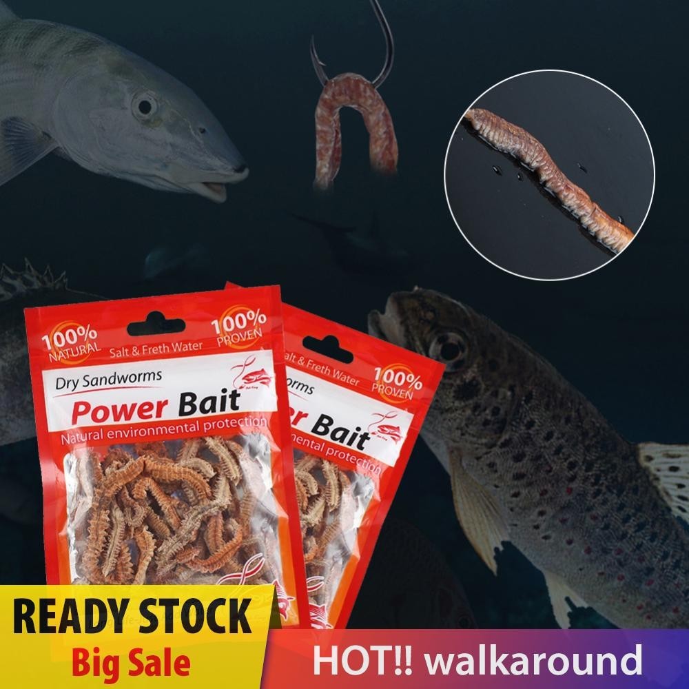 Dry Sandworms Fishing Lures Lifelike Dry Lugworm Sandworms Artificial ...