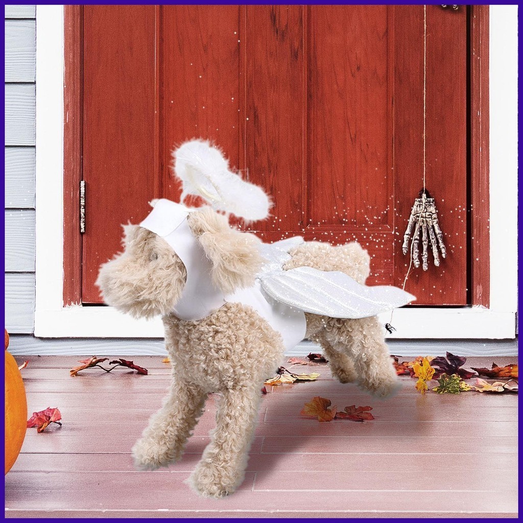 Pet Angel Wings Pet Costume Set Halloween Costume Pet Wings Dogs Dog ...