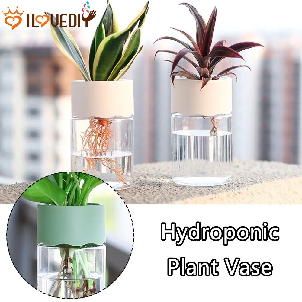 Mini Hydroponic Flower Pot - Green Plants Pot - Transparent Stylish ...