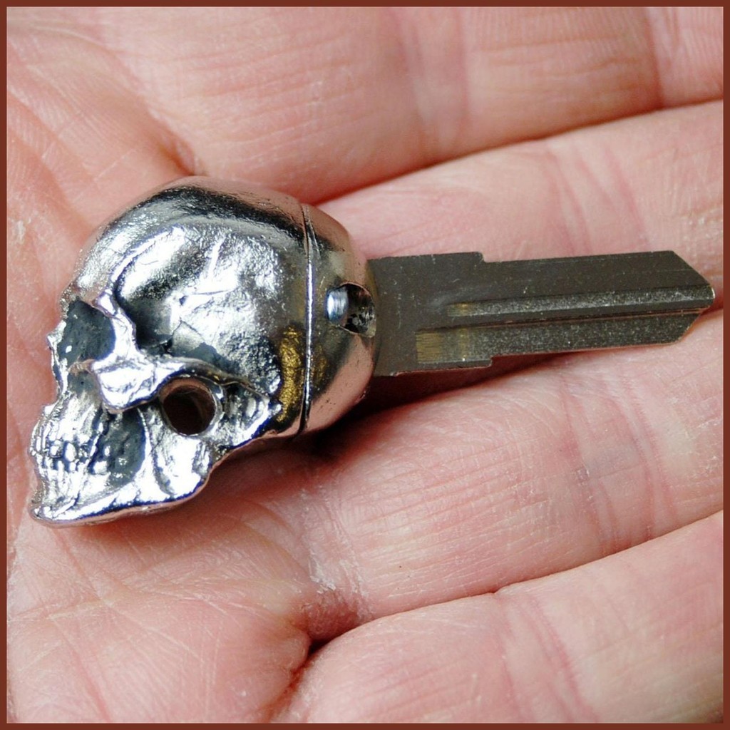 Demon Skull Key Cover 3D Skull Head Key Cover Key Protector Keychain ...