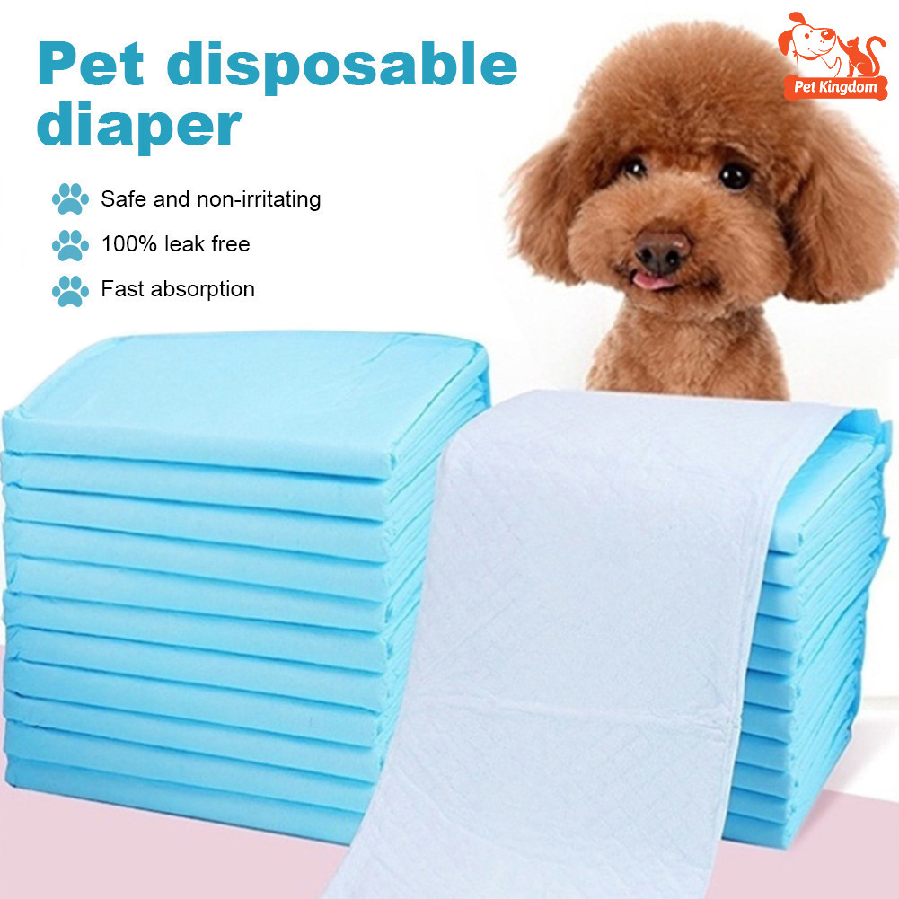 COD 100pcs Pet pee Pad Dog Training Pad Pet Cat Wee Pee Poop Urinal ...