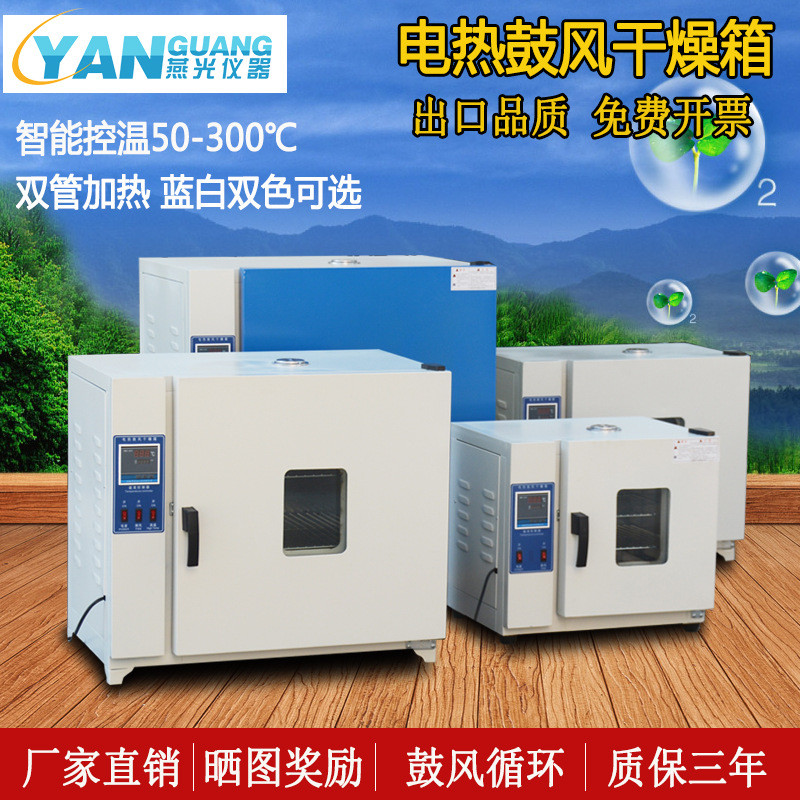 Electric Thermostatic Blast Drying Oven, Constant Temperature Oven, Baking Oven, Drying Box ...