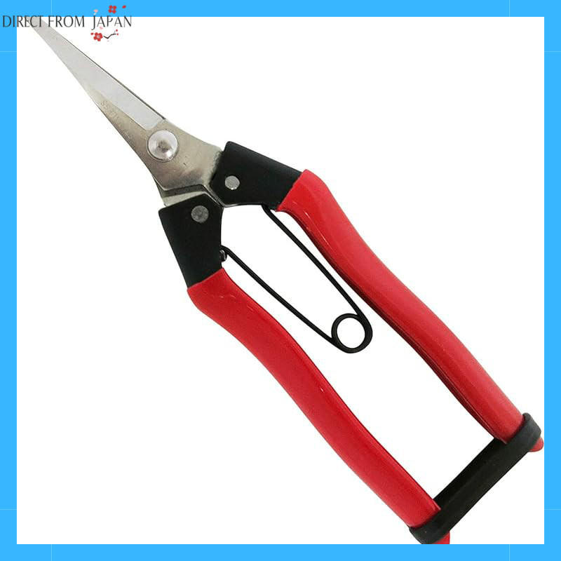 KONYO Eiyoshi Pruning Shears – Various Sizes | Shopee Philippines