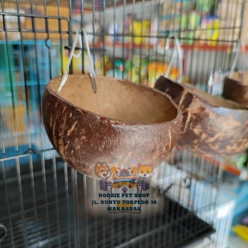 Coconut Shell Animal Feed Container | Shopee Philippines