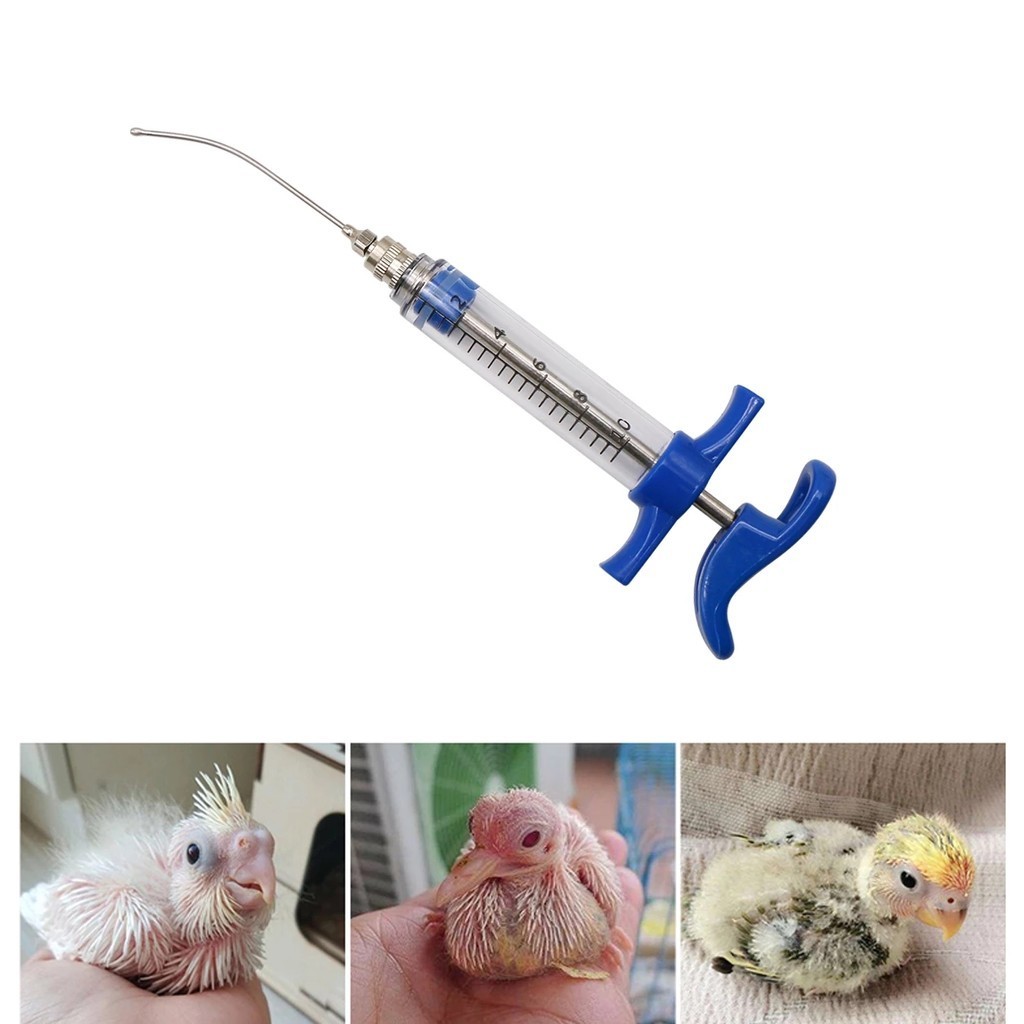 1 Pc Parrot Feeding Tubes Birds Feeding Syringe Kit Curved Gavage Tubes ...