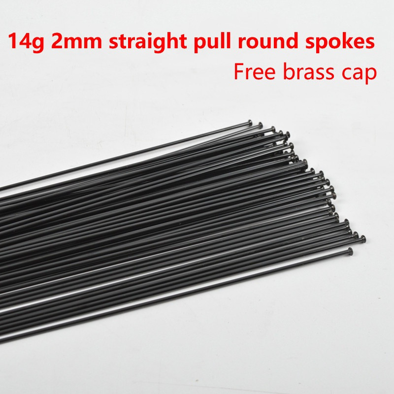 10pcs 14G 2mm Straight Head Round Spokes 190mm-305mm Road Bike Mountain ...