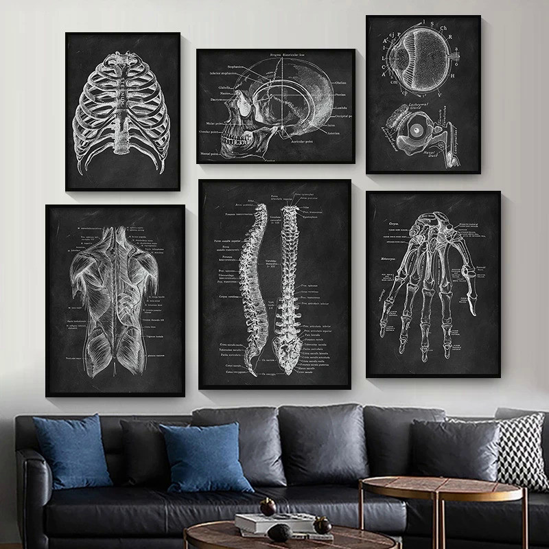 Anatomy of Human Body Posters Medical Clinic Wall Decorative Picture ...