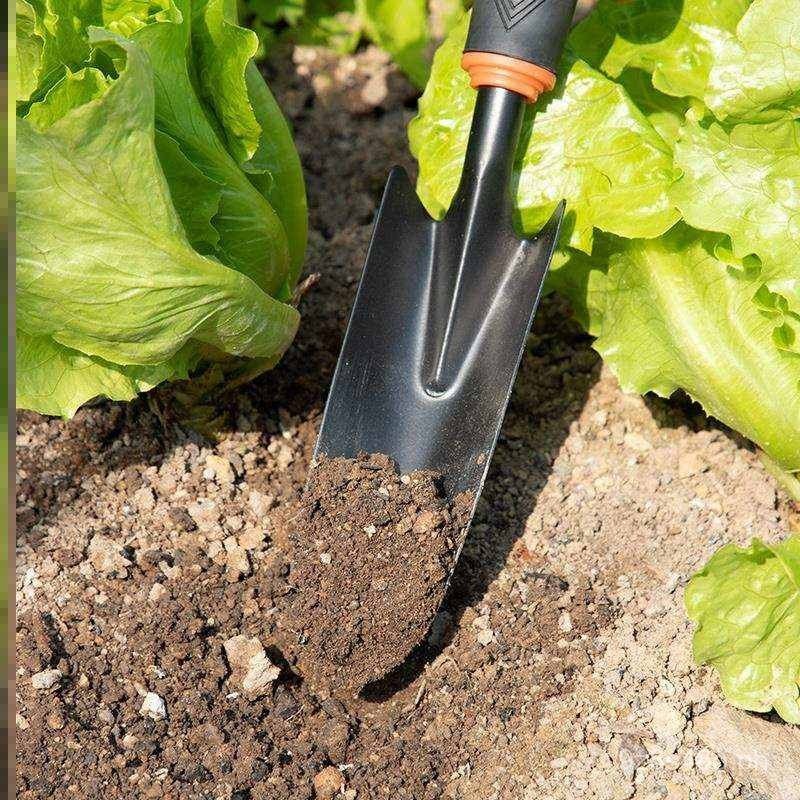 Quick Dispatch Gardening Tools Small Shovel Home Agricultural Flower ...