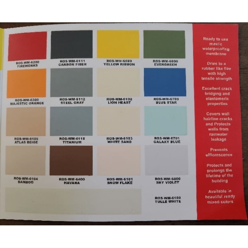 RAIN OR SHINE WALL MASTIC COLOR CHART | Shopee Philippines