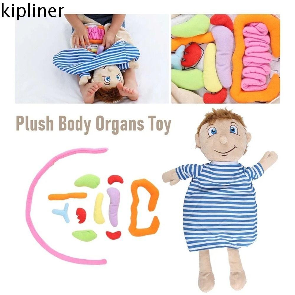 KIPLINER Anatomy Plush Toy, 3D Puzzle Learning Organ Plush Body Organs ...