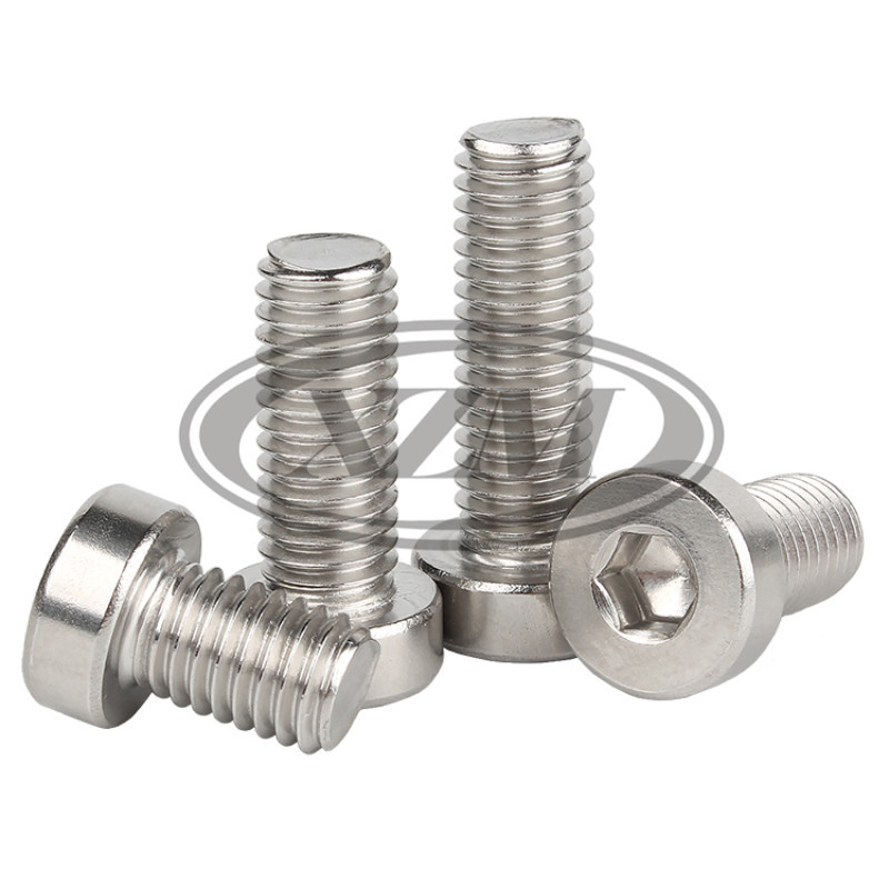 [Quick Shipment1] Allen Capscrew / Allen Bolt Socket Head Cap Screw ...