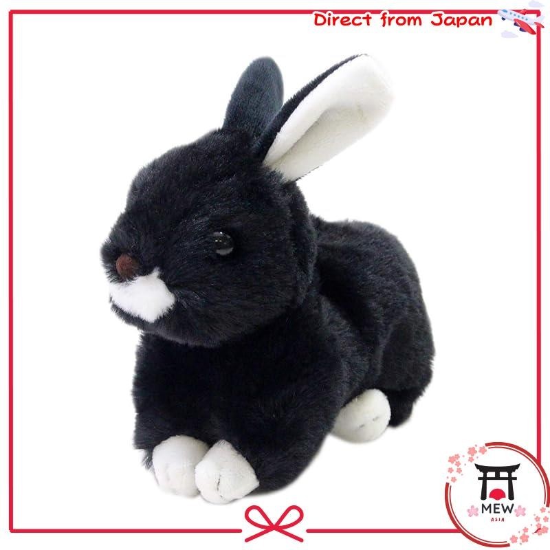 Takeoff Rabbit Maron Rex Black Takeoff Rabbit Maron Rex Brown Takeoff ...