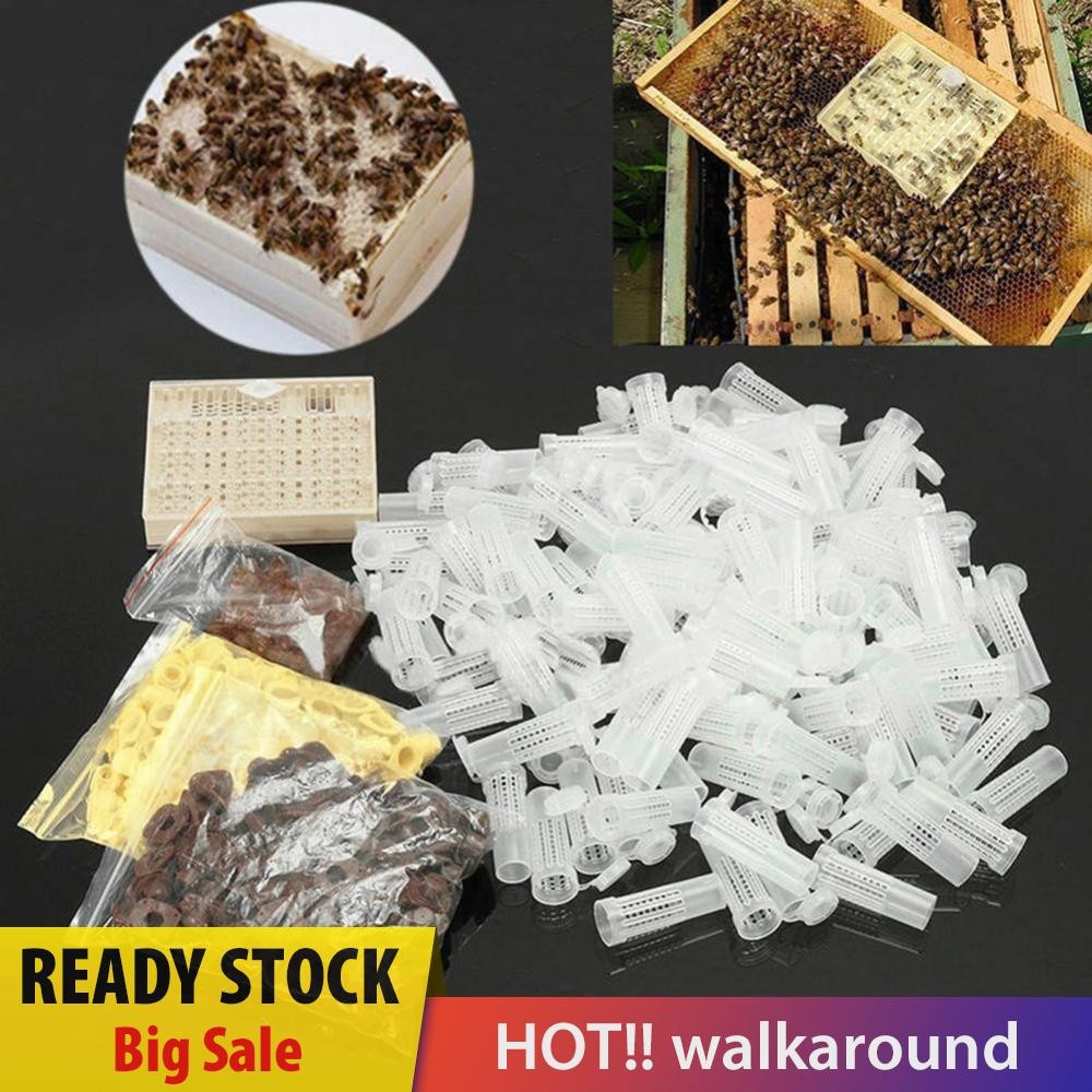 120pcs Bee Cell Cups Queen Rearing System Beekeeping Tool Cultivating ...