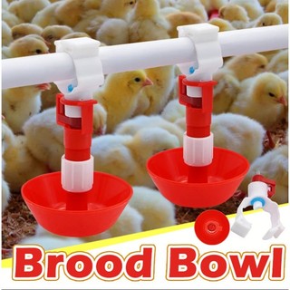 Chicken Water Drinker Bowl Hanging Automatic Poultry Chicken Water ...