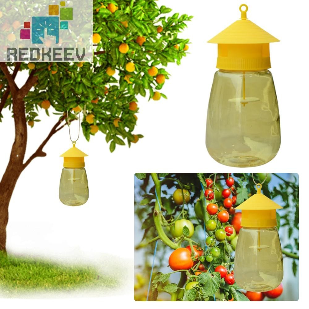 Fruit Fly Trap Killer Drosophila Trap with Hanging Hole for Outdoor ...