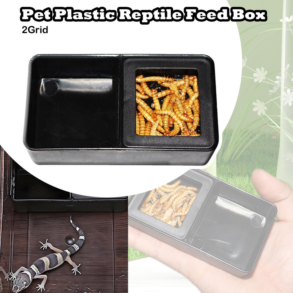2 Grid Reptile Food Dish Plastic Reptile Water And Food Bowls for ...