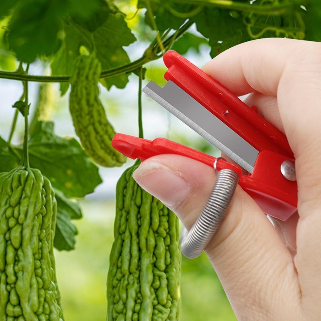 Harvesting Plant Cutter Vegetable Harvesting Finger Tool Plants Picking ...