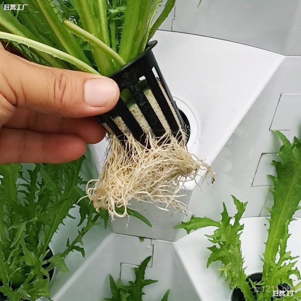 Vegetable Hydroponic Cultivation Pineapple Planting Tower Strawberry ...