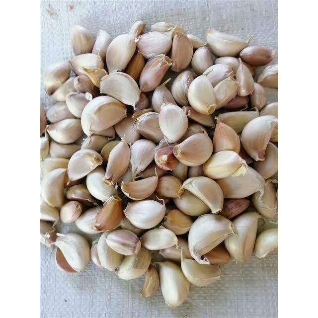 Chinese Garlic Large Petals Peeled 1 Pack 500g (Half Kilogram) | Shopee ...