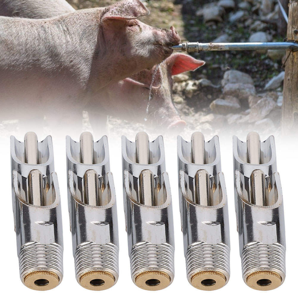 24 Hours Delivery Pig Water Kiss Faucet Elbow Plug-In Hose 10 Pcs ...