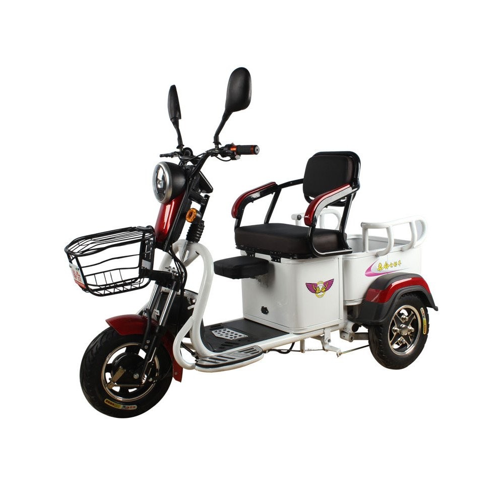 Electric Tricycle for Home Use, New Model, Small Size, Suitable for ...