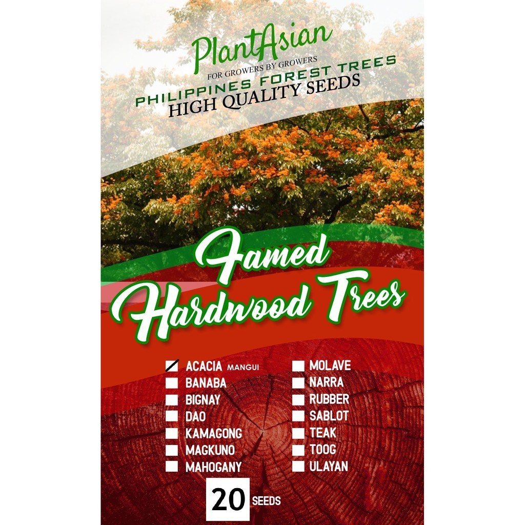 ACACIA MANGIUM TREE SEEDS 20 SEEDS | Shopee Philippines