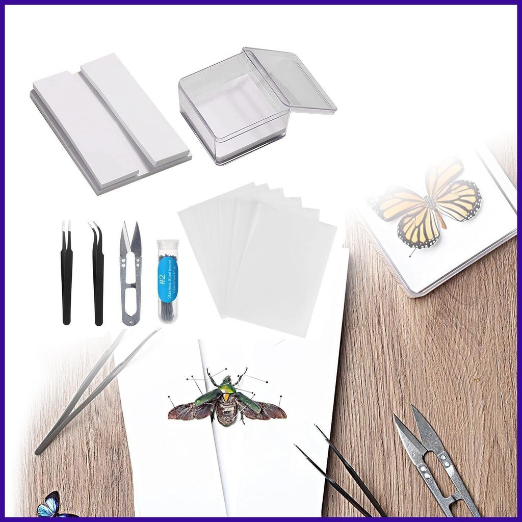 Specimen Tools for Classroom Teaching Reusable Taxidermy and Entomology ...