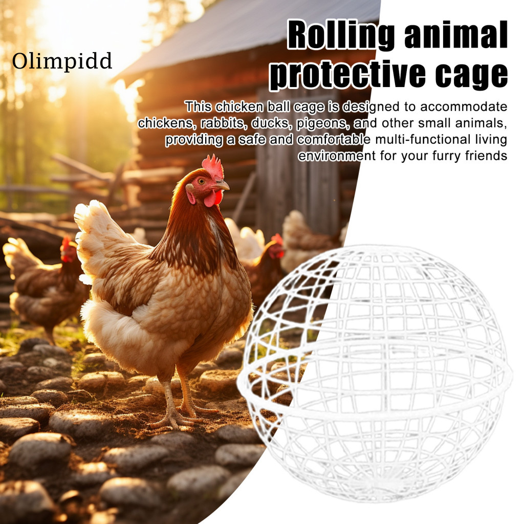 olimpidd| Lightweight Chicken Cage Pet Roaming Sphere Portable Round ...