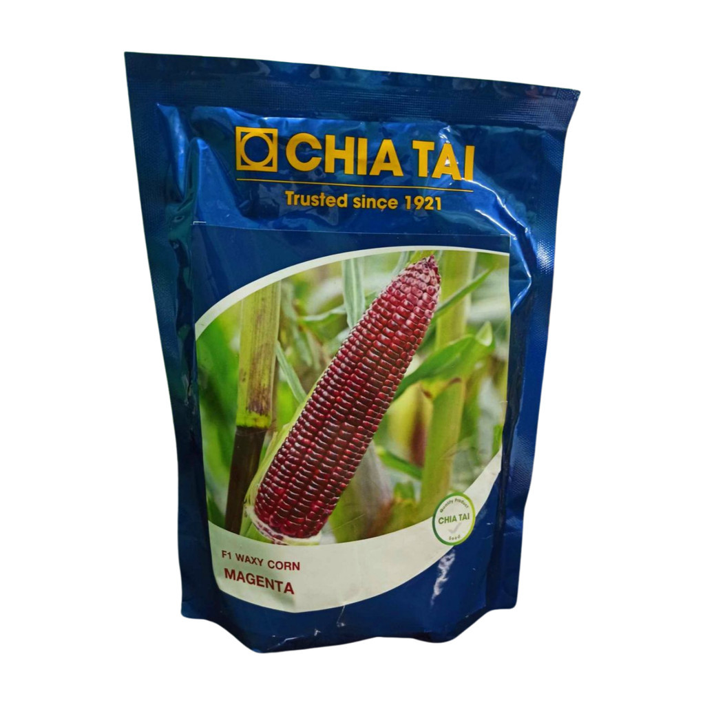 ARNETH PURPLE WAXY CORN MAGENTA BY CHIA TAI 500 G PACK | Shopee Philippines