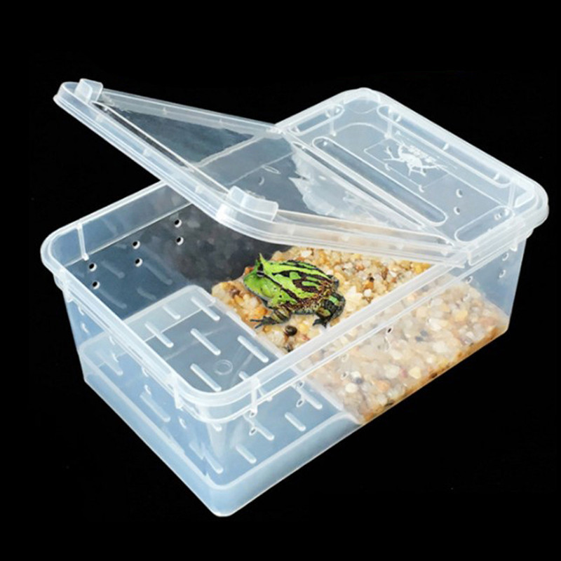BMPH Belle Reptile box Mantis jumping spider silkworm rearing box ...