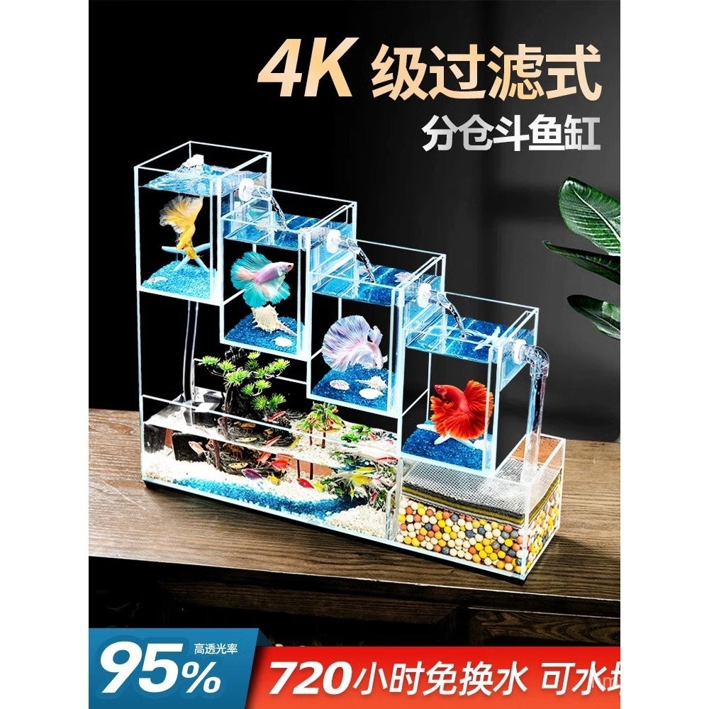Self-Circulating Multi-Compartment Betta Fish Tank Ultra Clear Glass ...