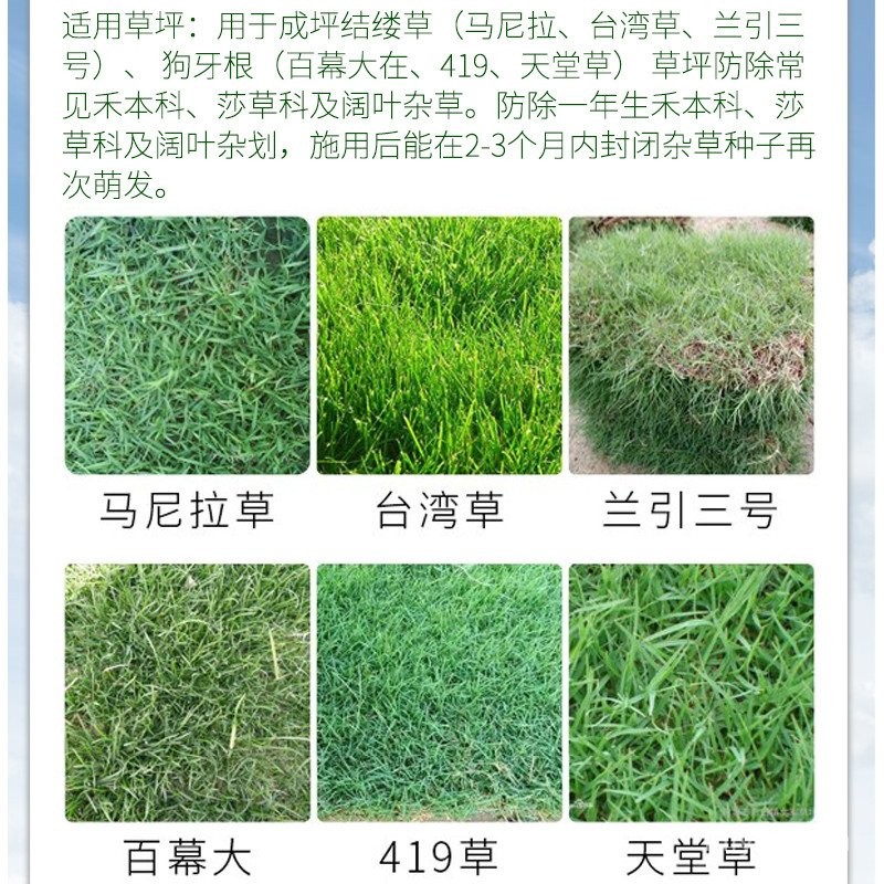 Guoguang Tanzi Zhuoer Set for Removing Knotweed, Crabgrass, Watercress ...