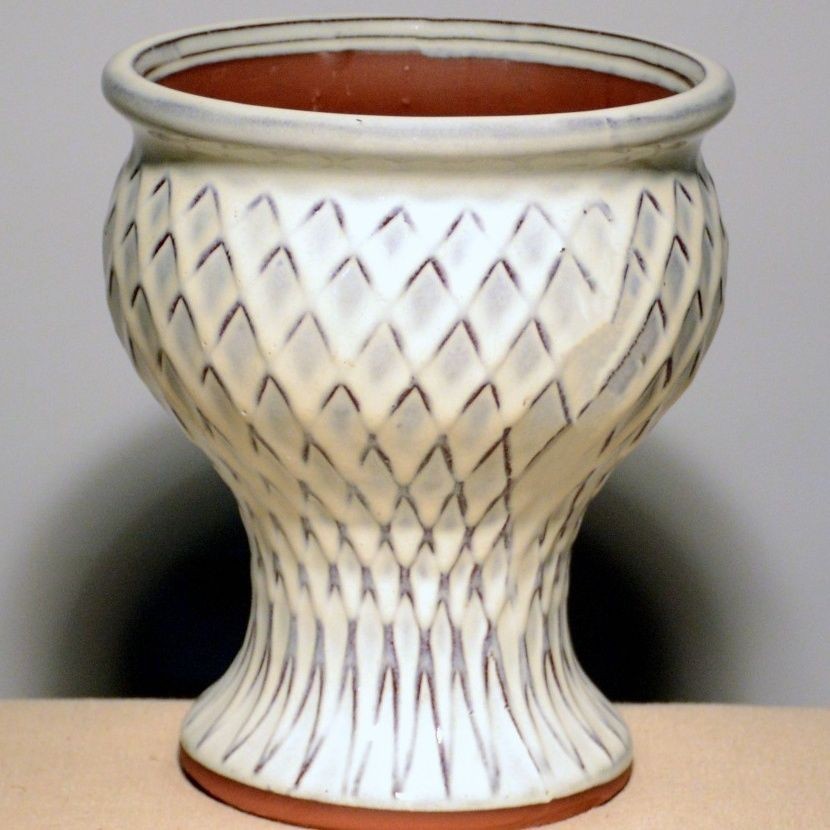 Hot Pot Master Large Diameter Succulent Fishtail Old Pile Qunsheng ...