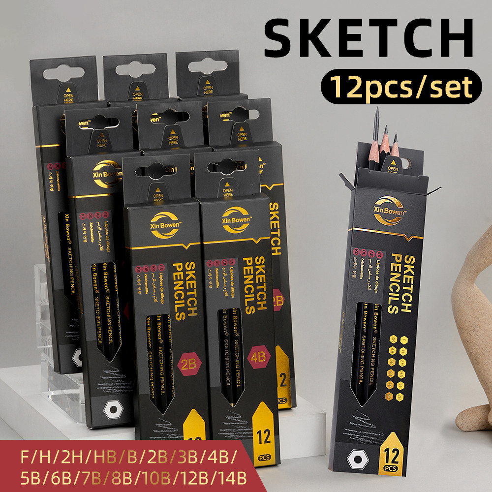 12Pcs Sketching Drawing Pencils Set Professional Art Graphite Pencils ...