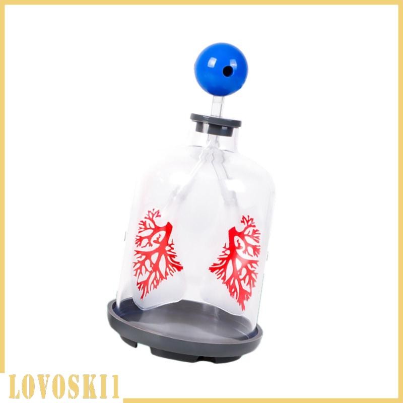[Lovoski1] Lung Demonstration Model Lung Respiration Model DIY ...