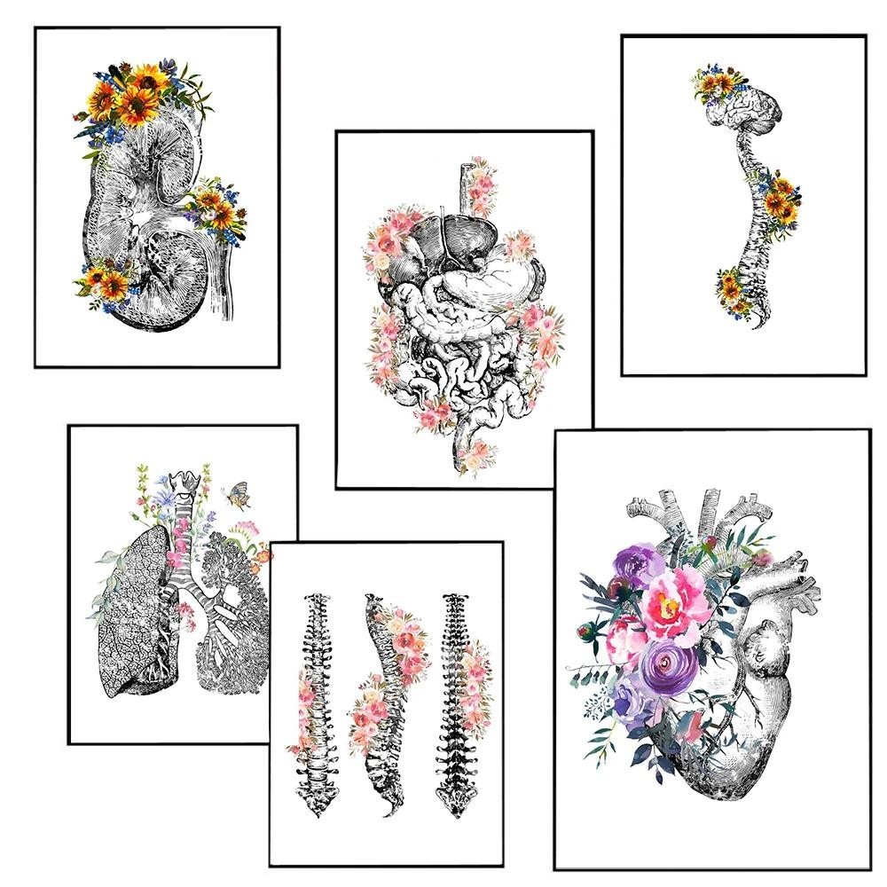 Anatomical Organ Vintage Poster Human Anatomy Canvas Print Spine Heart ...