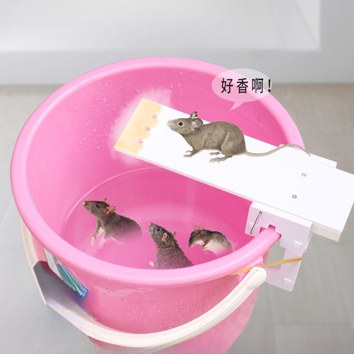 Seesaw Rat Trap Foldable Deratization Automatic Continuous Mouse Trap ...
