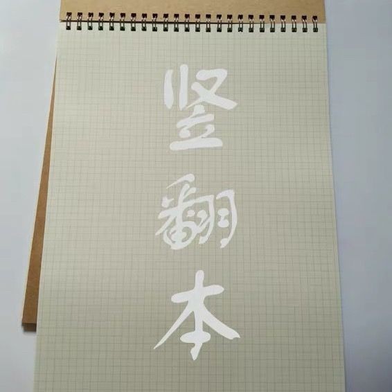 Vertical Flip Grid ui Design Book 1mm5mm2mm Dot Book Coordinate Book ...