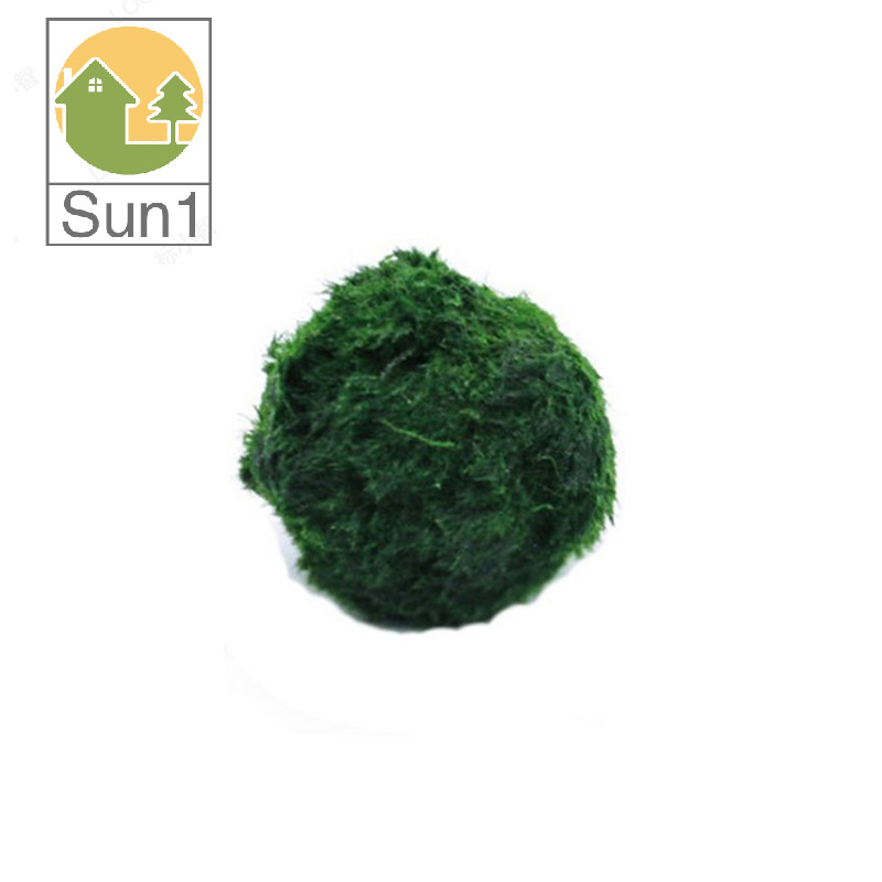 Sun1> 3-4cm Marimo Balls Algae Fish Shrimp Ornament Simulation Green ...