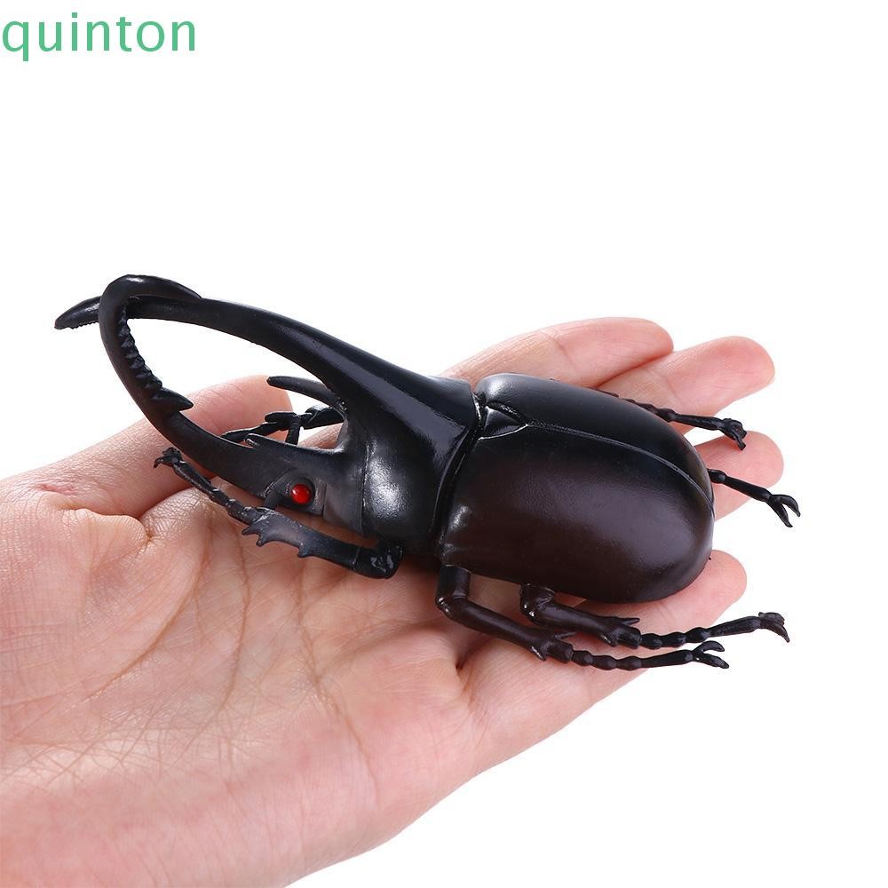 QUINTON Simulation Beetle Teaching Aids Animal Collection Insect Toy ...