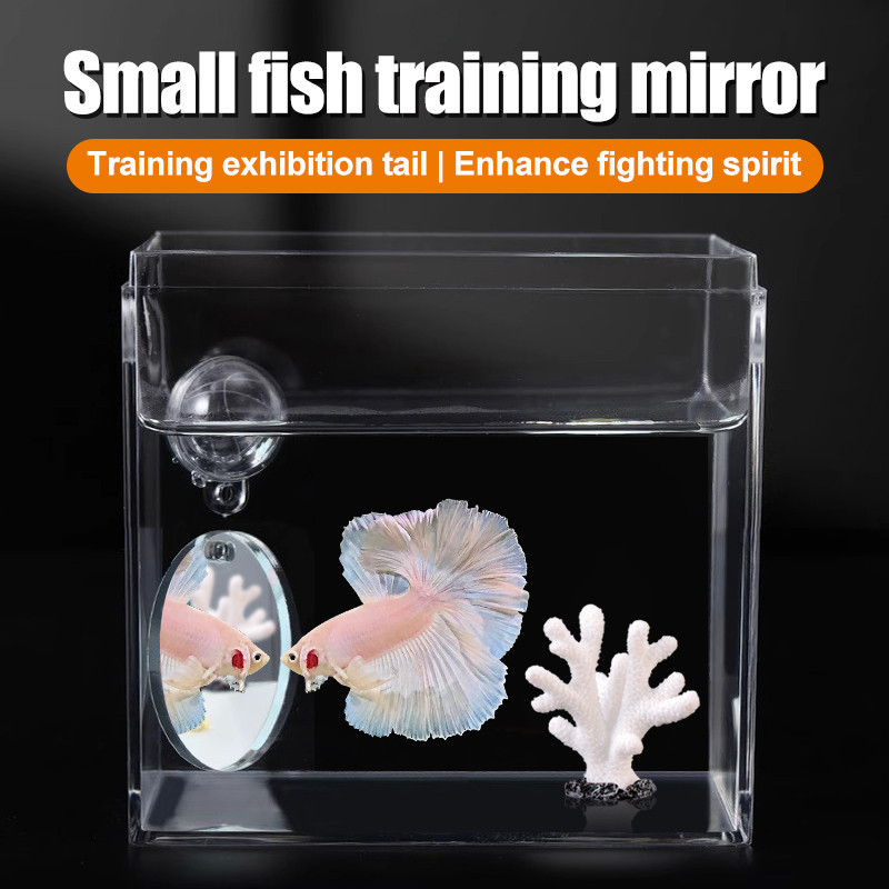 Betta fish training mirror Aquarium double-sided interactive floating ...