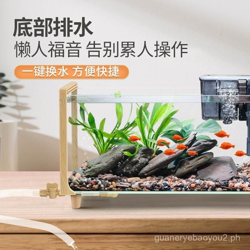 New Fish Tank South American Stream Tank Ultra Clear Glass Native ...