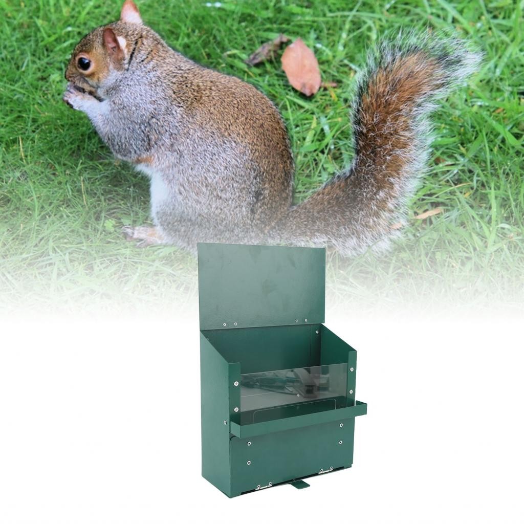 Bestchoices Metal Squirrel Feeder for Outdoors Lunch Box with ...