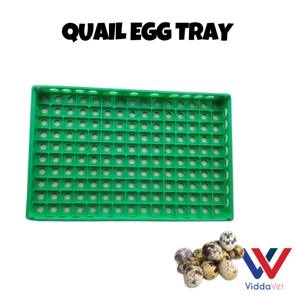 1 PC QUAIL PUGO EGG TRAY 150 EGG CAPACITY HEAVY DUTY | Shopee Philippines