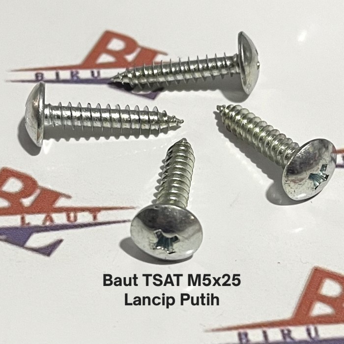 MESIN PUTIH Complete (Package Of 100pcs) TSAT M5x25 Taper Bolts White ...