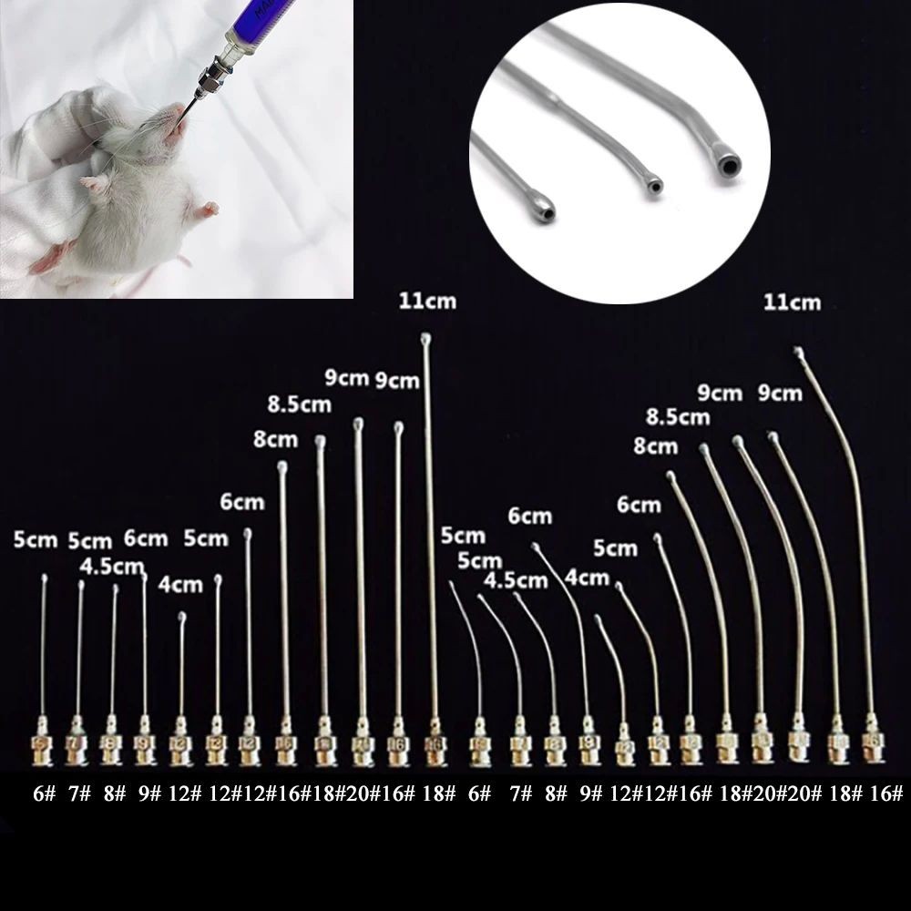 1PCS Stainless Steel Gavage Gastric Applicator Dosing Drench Nozzle For ...