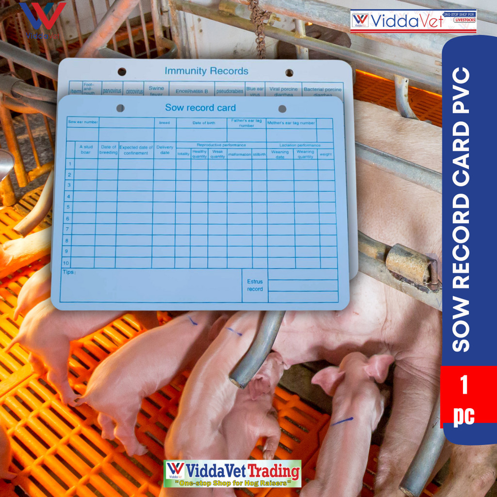 SOW RECORD CARD PVC FOR PIGGERY RECORD KEEPING WATER PROOF 1PC | Shopee ...