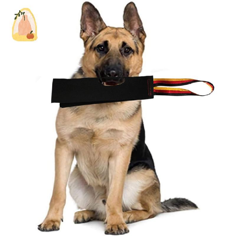 Dog Bite Rag Train, Bite Grip Build Prey Drive Leather Interactive Tug ...