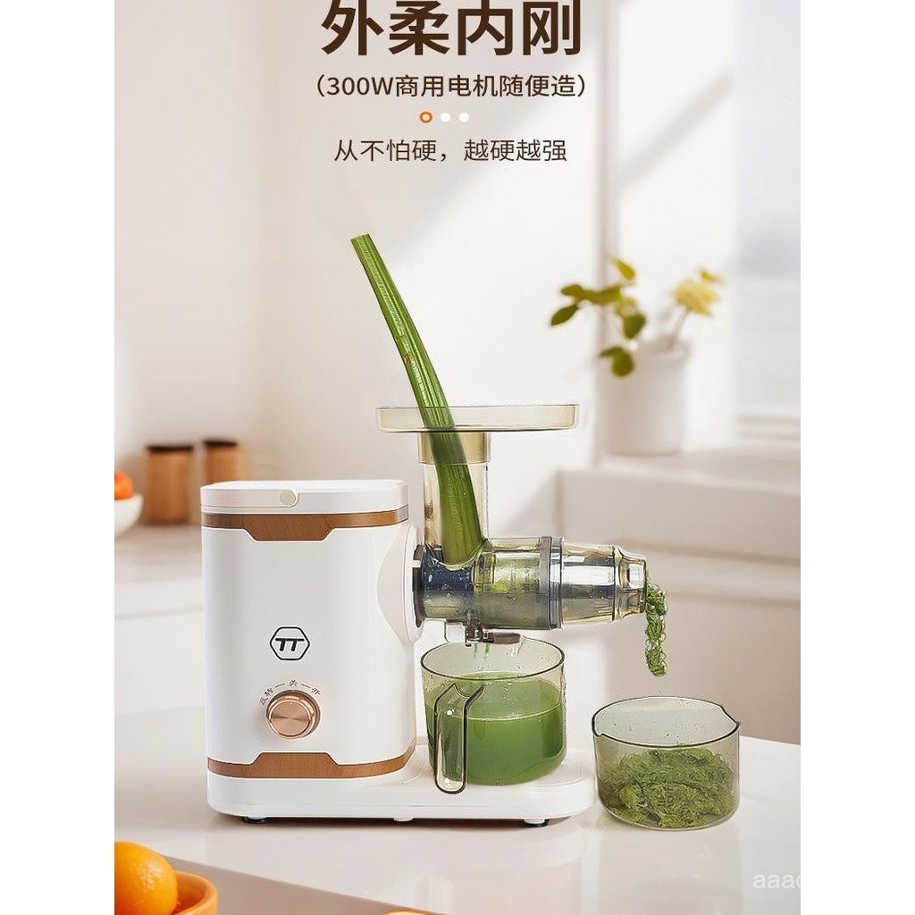 TT Juicer with Pulp Separation, Low-Speed Slow Grinding, Original Juice ...