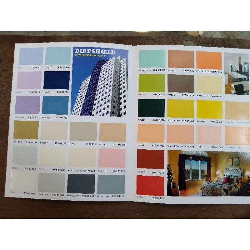 RAIN OR SHINE DIRT SHIELD COLOR CHART | Shopee Philippines